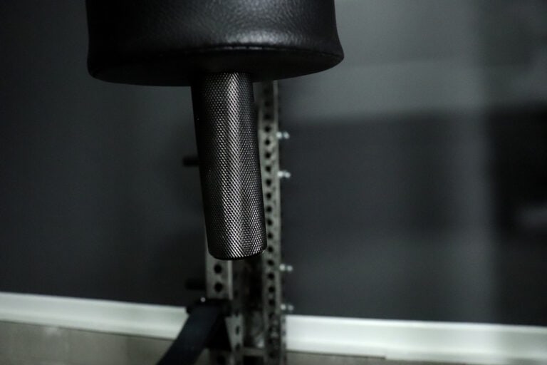 7 Best Safety Squat Bars to Buy in 2025: SSB Buying Guide