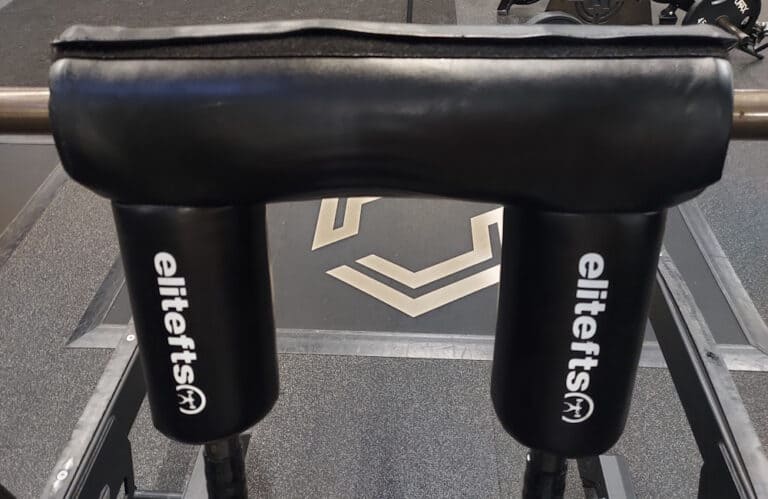 7 Best Safety Squat Bars to Buy in 2025: SSB Buying Guide