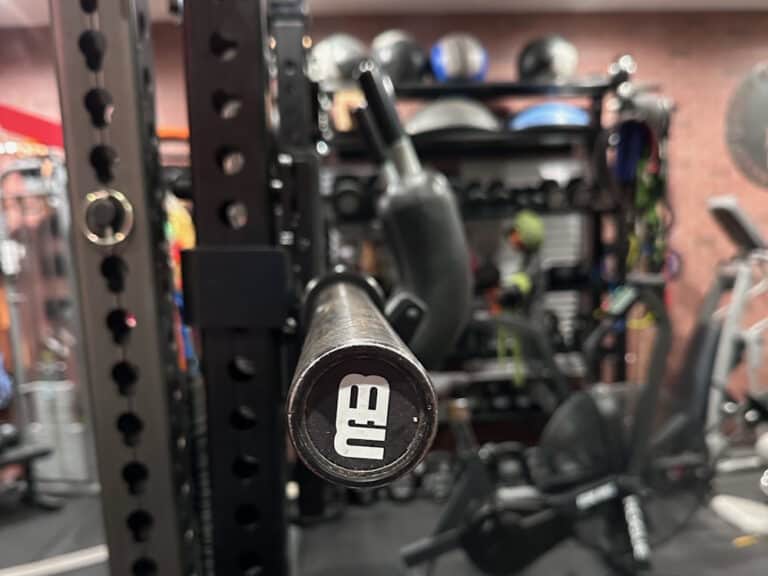 7 Best Safety Squat Bars to Buy in 2025: SSB Buying Guide