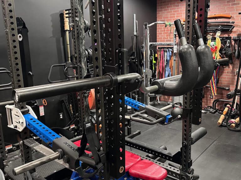 7 Best Safety Squat Bars to Buy in 2025: SSB Buying Guide